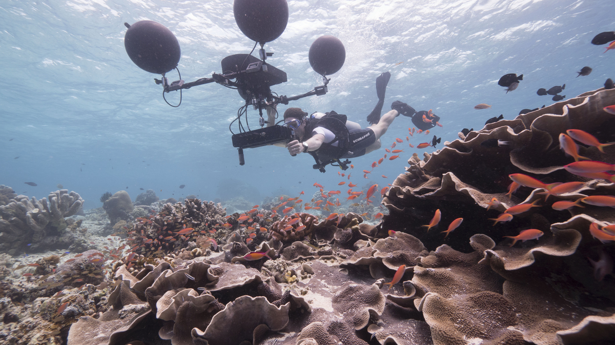 DOUBLE BILL: Blue Planet II - One Ocean / Our Blue Planet + Q&A - info ...