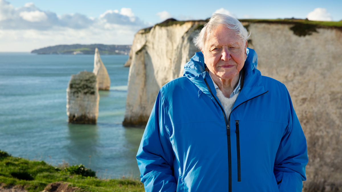 Ocean with David Attenborough - info and ticket booking, Bristol ...